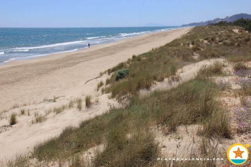 Plage del Mareny de San Lorenzo (du marais de San Lorenzo)|Cullera ...